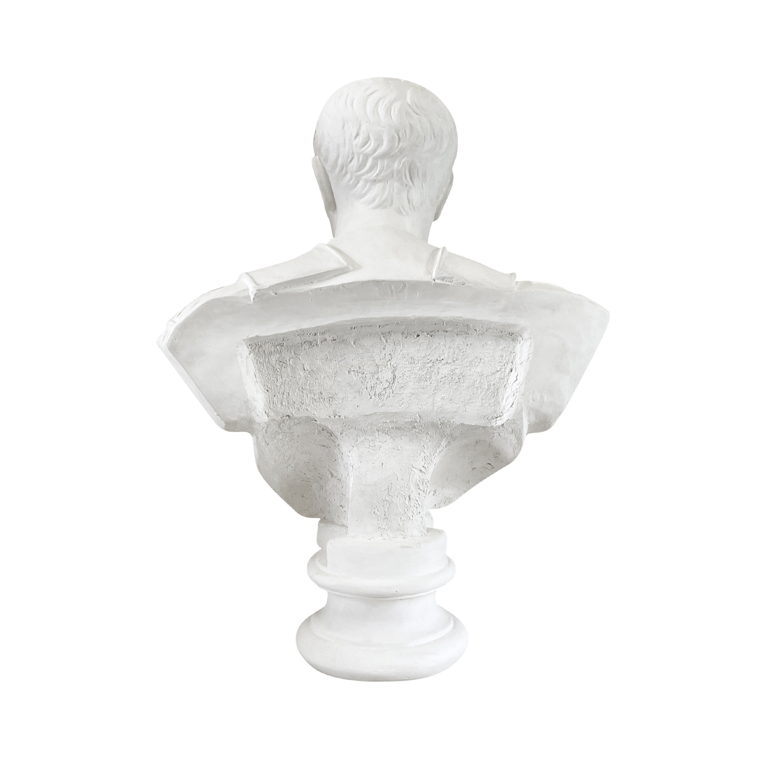 The Bust of Julius Caesar in Plaster